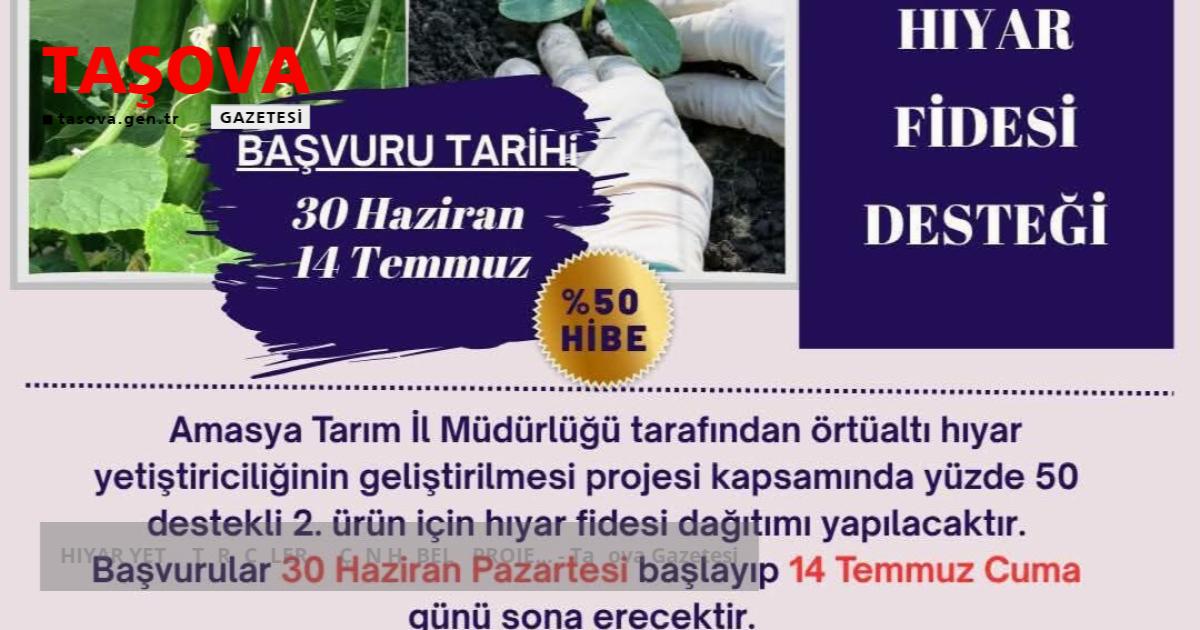 HIYAR YETİŞTİRİCİLERİ İÇİN HİBELİ PROJE… | Taşova Gazetesi