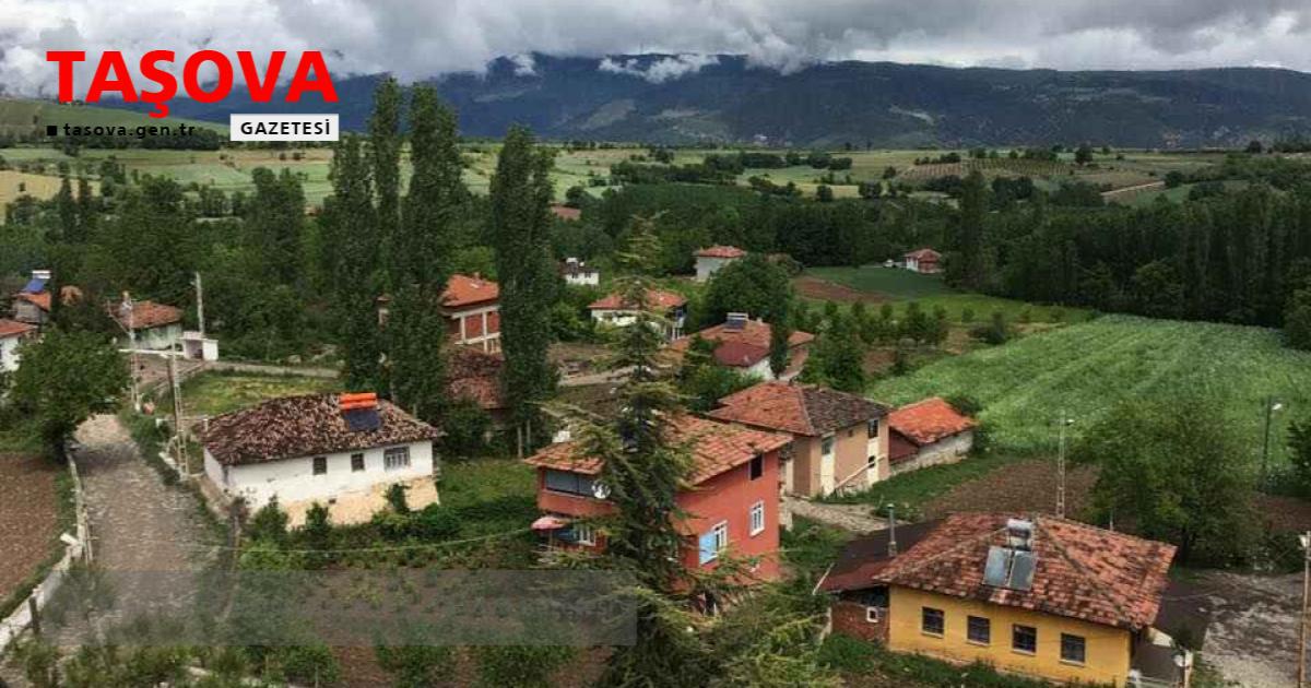 KİRANPA KİRAMPA (Elmakırı) | Taşova Gazetesi