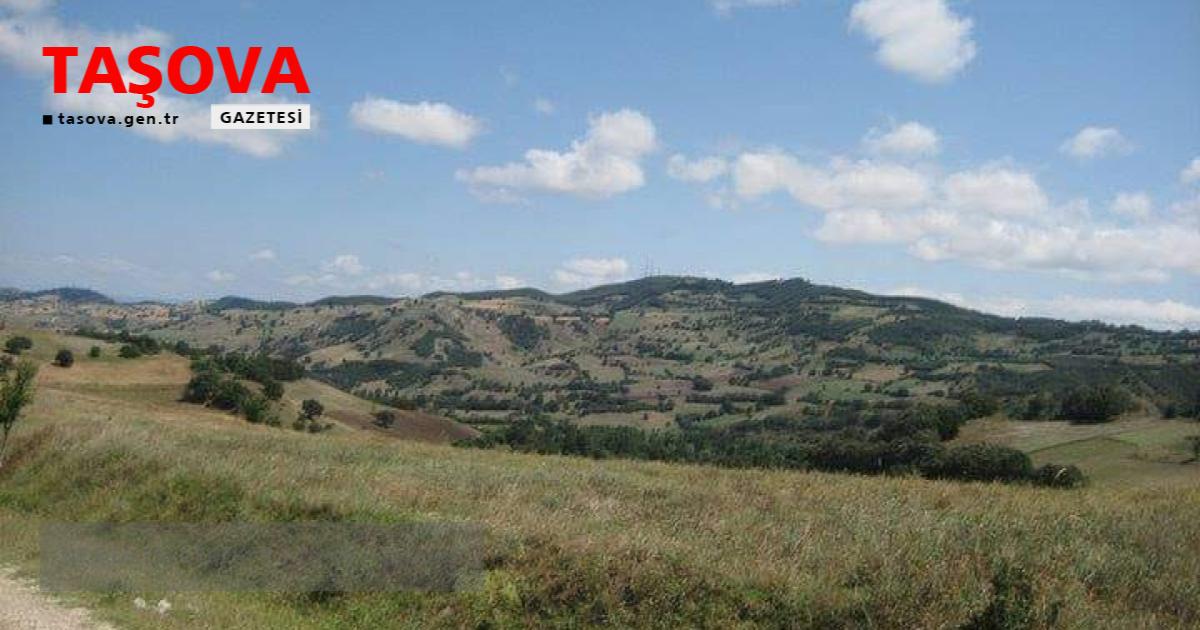 NE DEMEM GEREKİR | Taşova Gazetesi