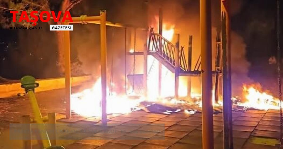 PARKTA YANGIN ÇIKARANLAR YAKALANDI | Taşova Gazetesi