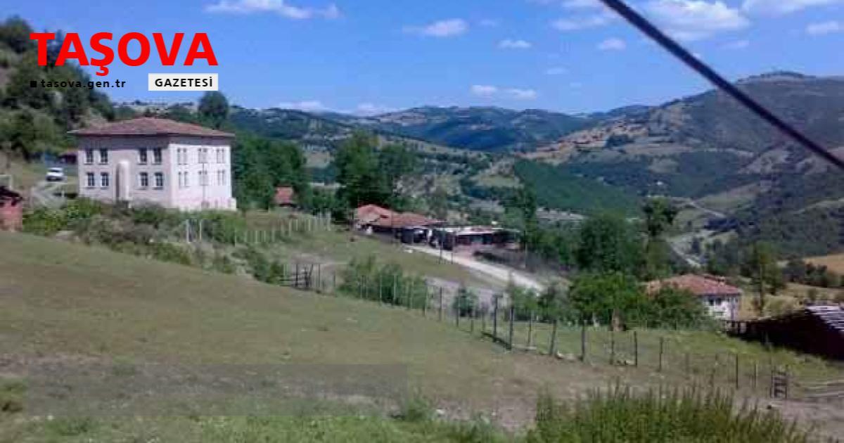 PASUN AİLESİNİN ACI GÜNÜ | Taşova Gazetesi